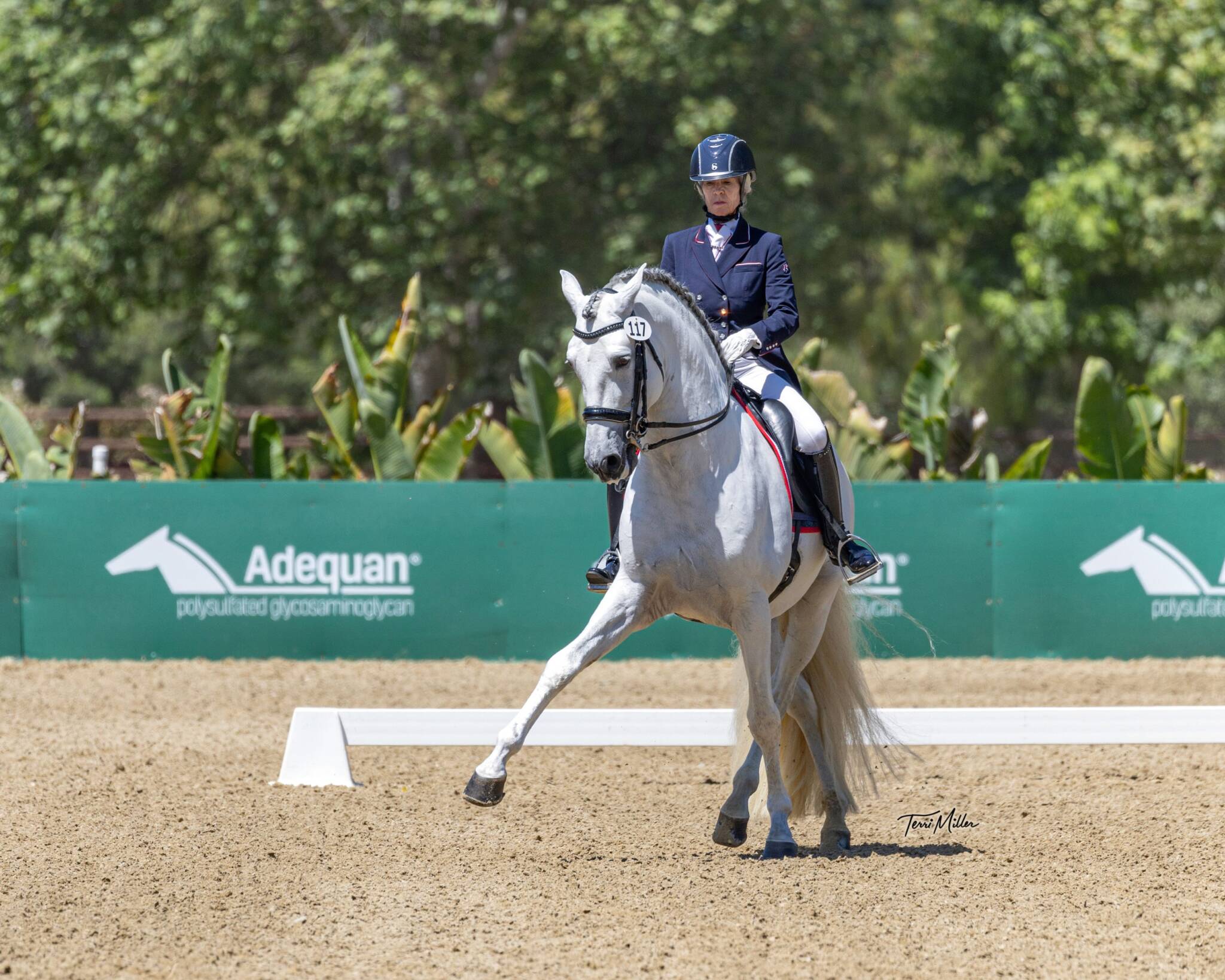 Pacific Coast Dressage National Show - Galway Downs Equestrian