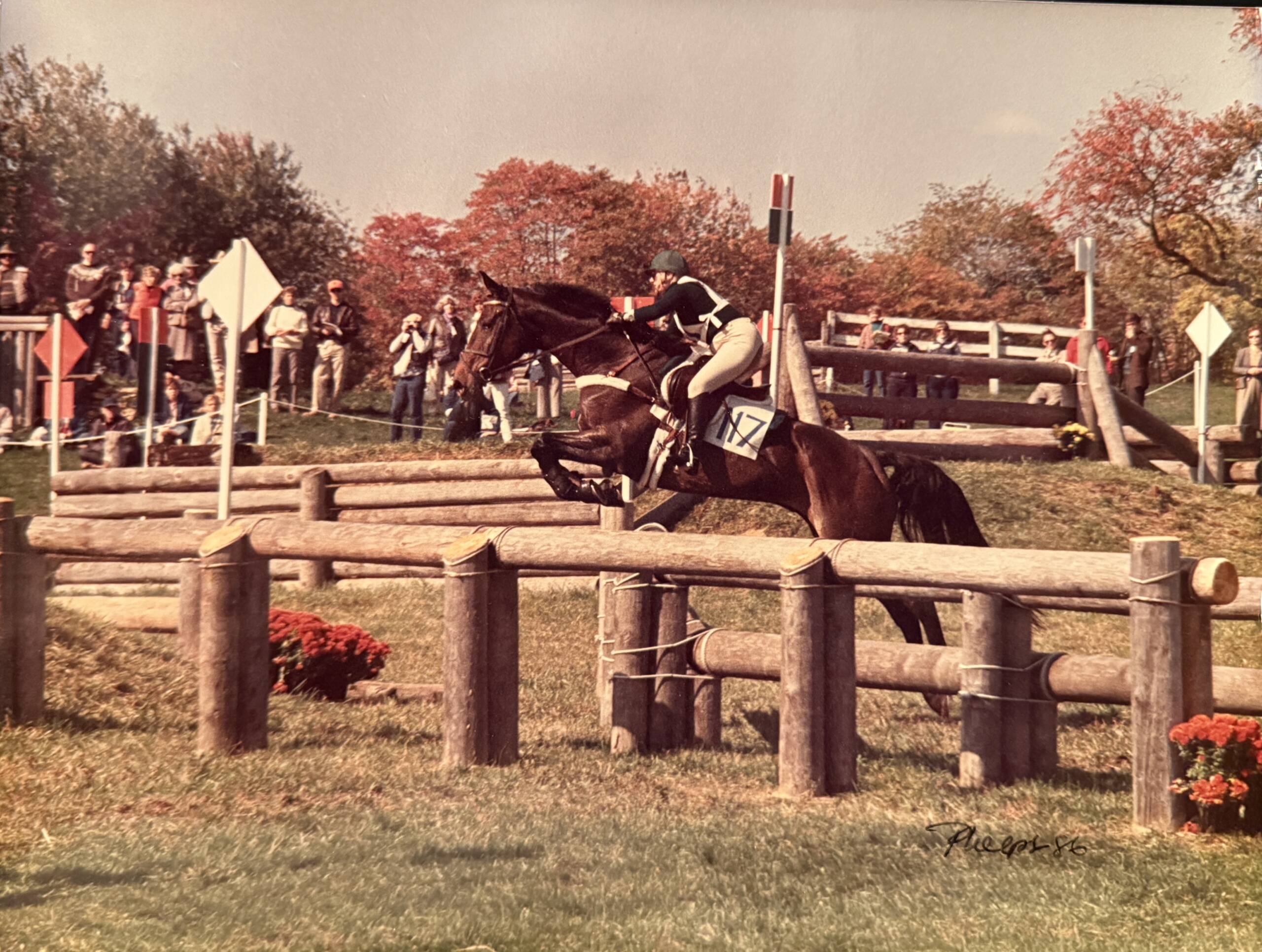 Volunteer Spotlight – Kim Scheid - Galway Downs Equestrian